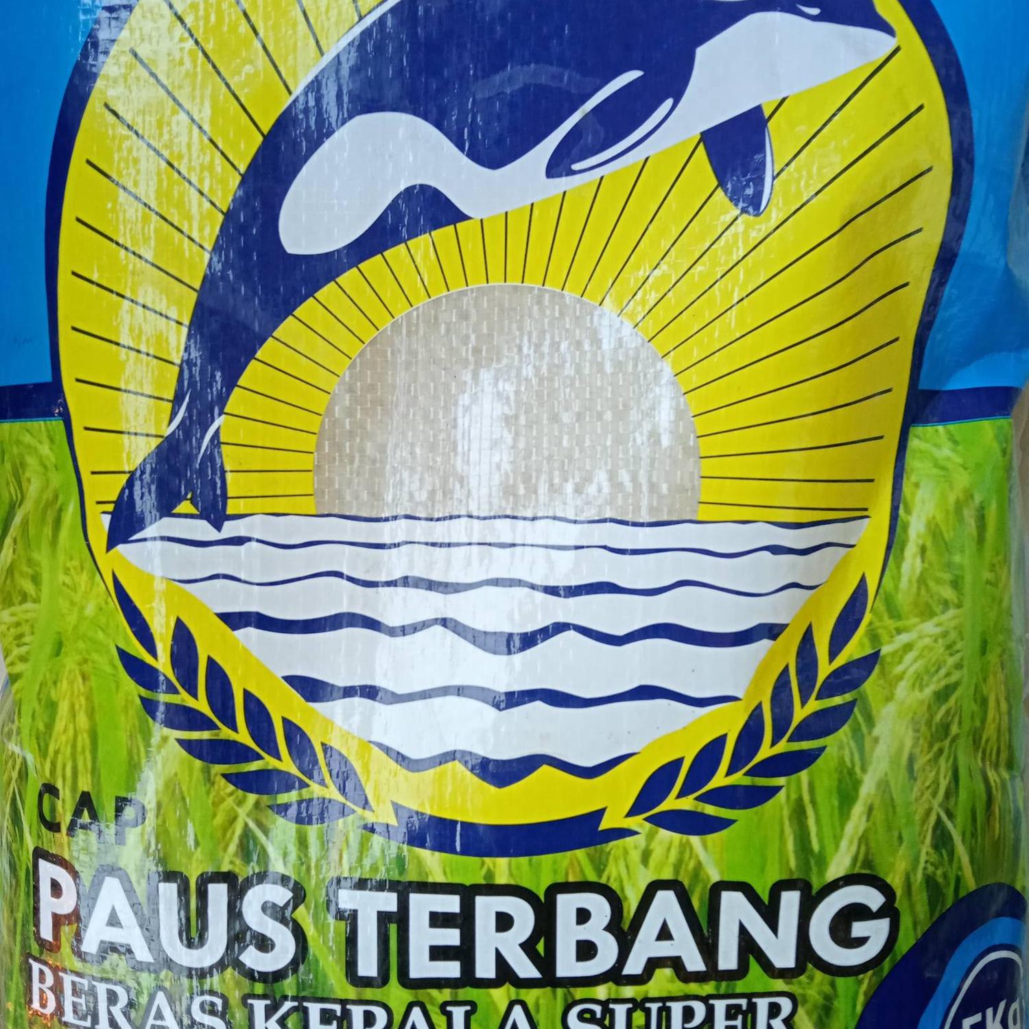 BERAS PAUS 5 kg | Setoko