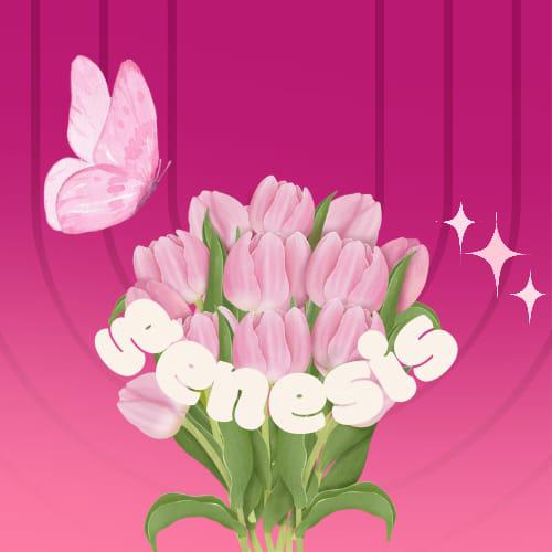 genesis store | Setoko