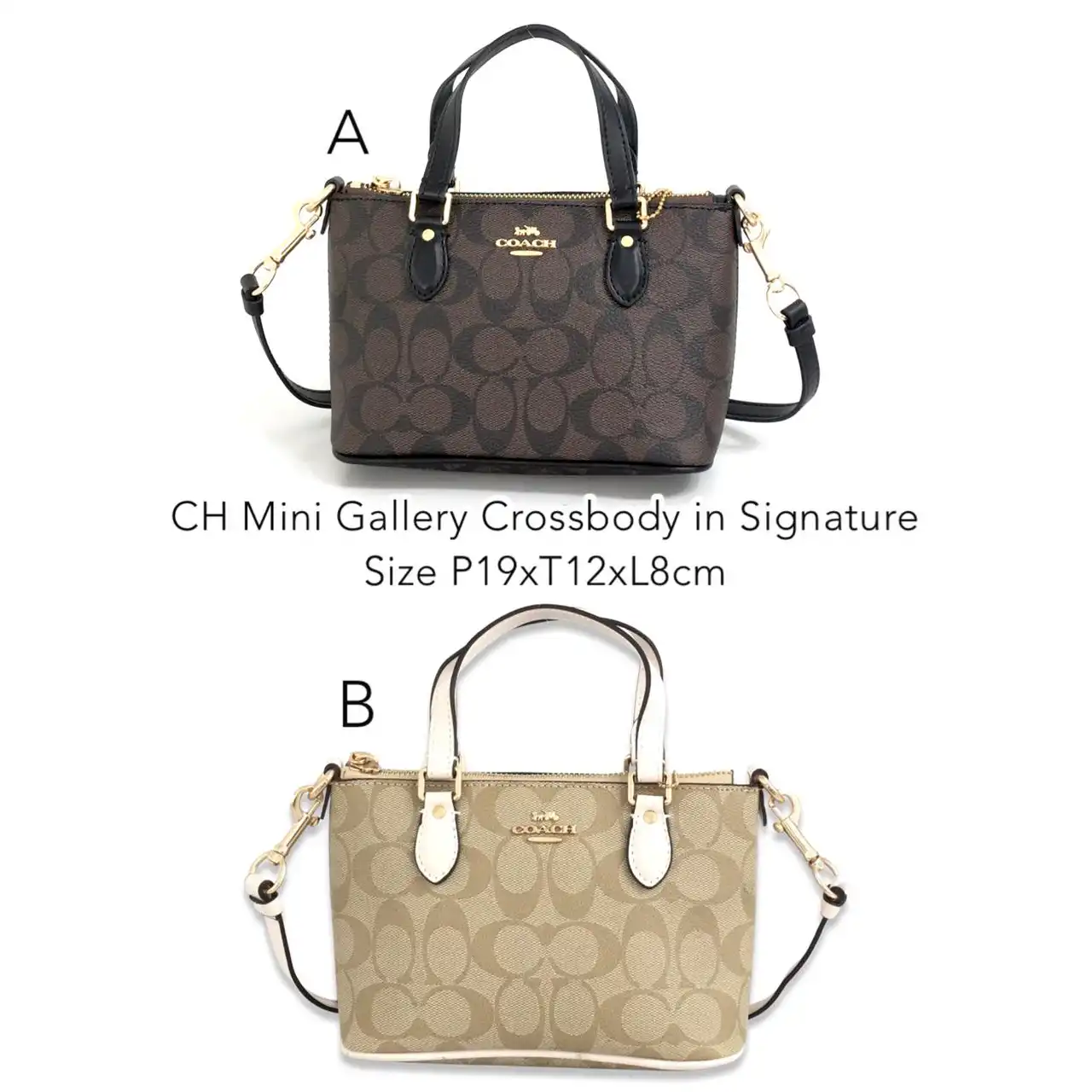 COACH Mini Gallery Crossbody in Signature | Setoko